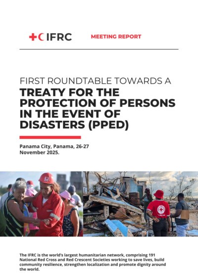 First Roundtable towards a treaty for the Protection of Persons in the ...